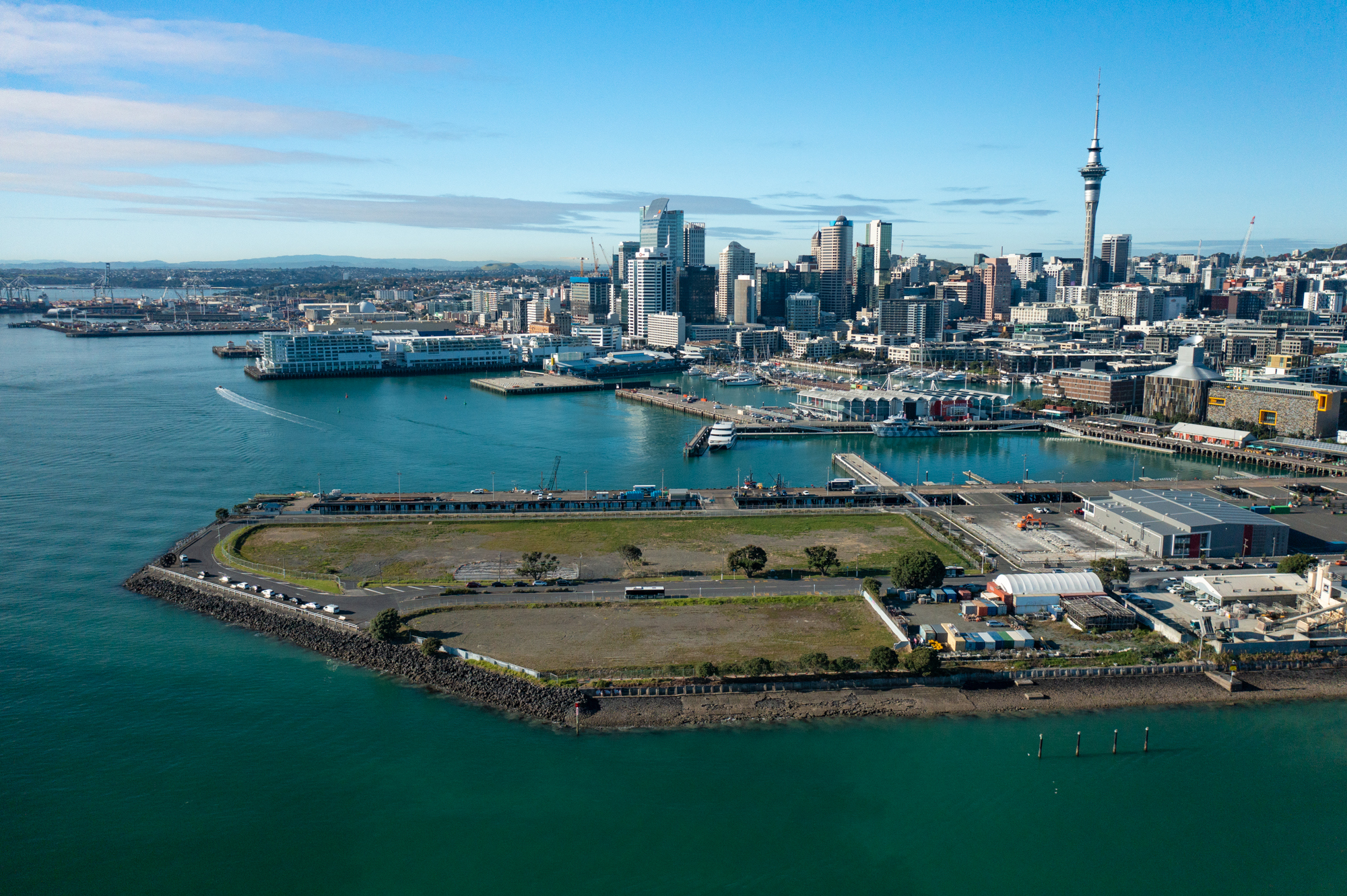 Wynyard Point bioremediation works - Auckland Council