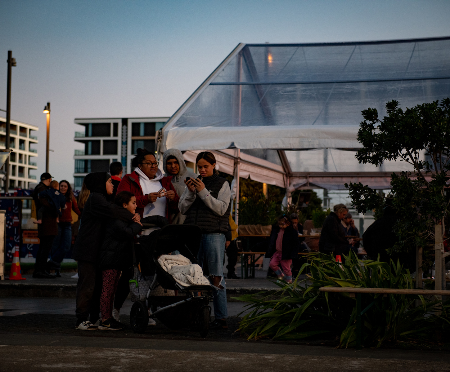 Celebrating Matariki - Auckland Council
